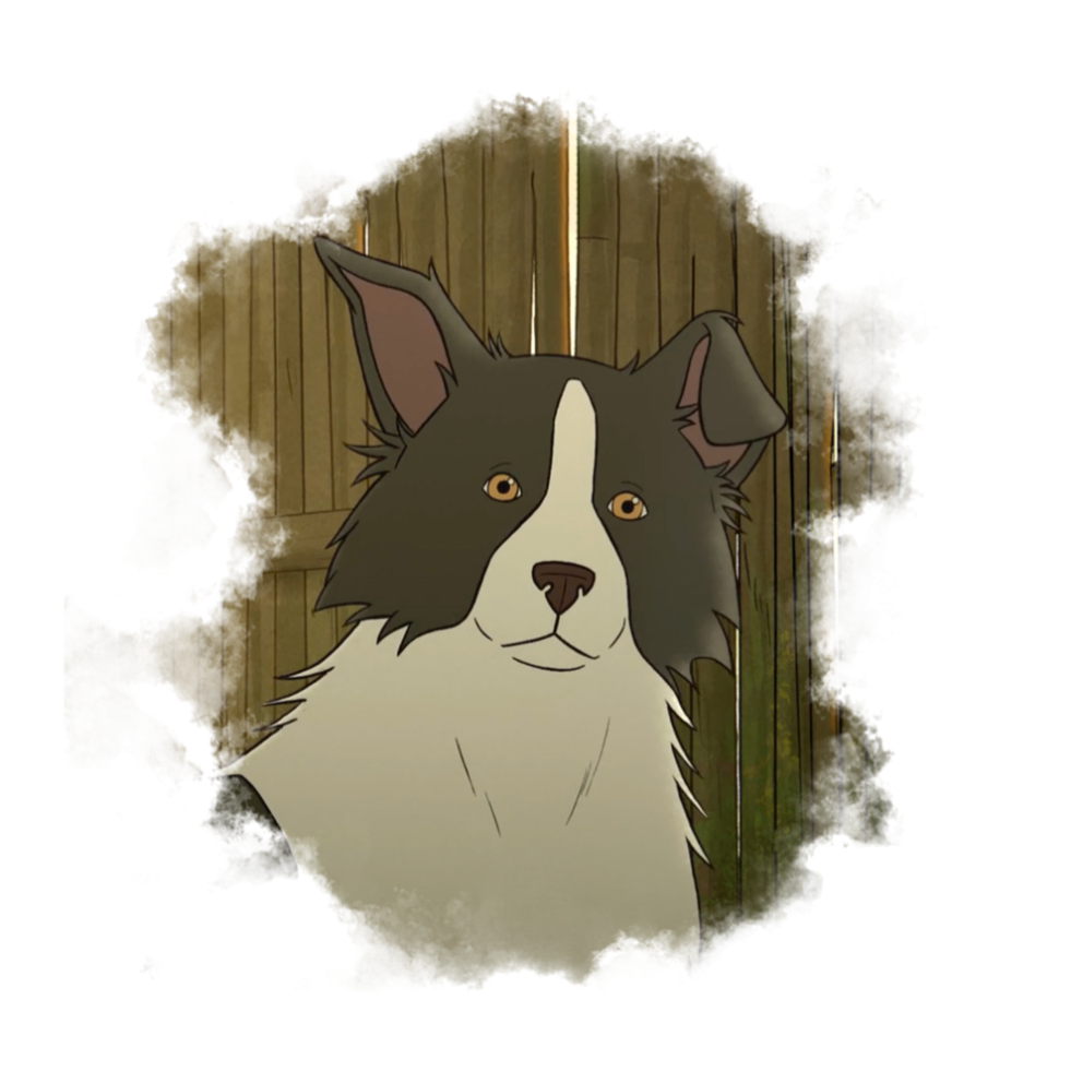 Kensuke’s Kingdom | The Story